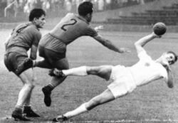 Karl SCHELENZ, sus aportes al handball Biografía